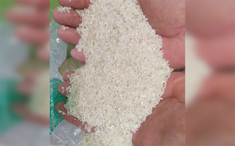 Beras Berkutu dan Bau Apek, Agen BPNT dan KPM di Tuban Mengeluh ...